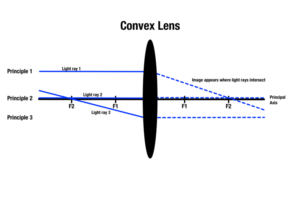 Kovera vs. kupera: Mitä eroa on? - Sanalaskuri | This Unruly