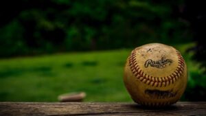 What Does Bush League Mean?