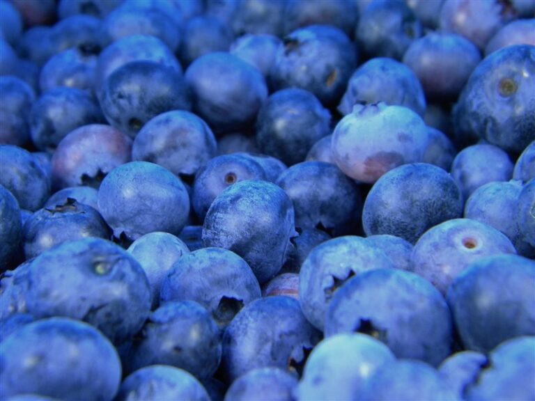 What is the Plural of Fruit? | The Word Counter