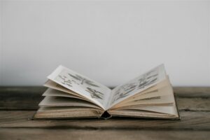 Flys or flies: What’s the difference? – The Word Counter