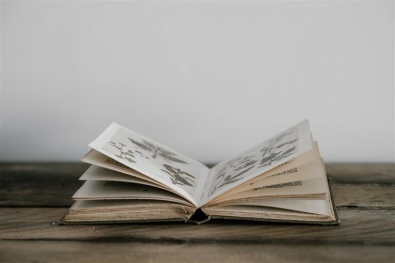 Flys or flies: What’s the difference? – The Word Counter