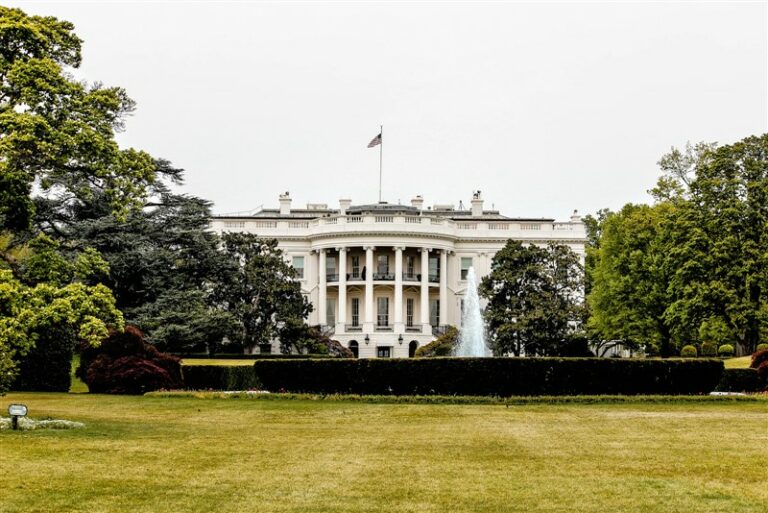 What Does POTUS Mean? | The Word Counter