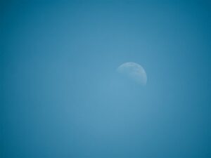 What Does Subtle Mean? | The Word Counter