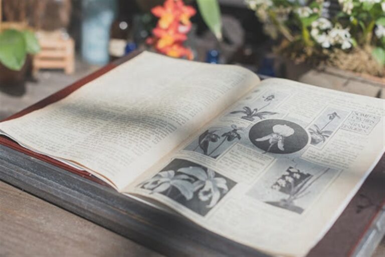 Biannual vs. biennial: What’s the difference? – The Word Counter