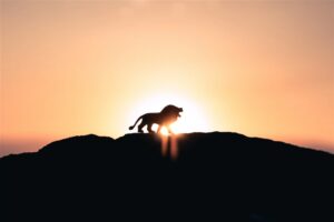 What Does Dominate Mean? | The Word Counter