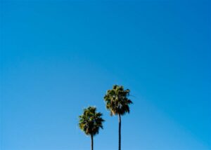 What Does Succinctly Mean? | The Word Counter
