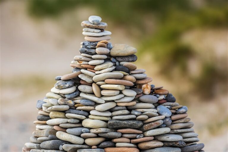 What Does Plethora Mean? | The Word Counter