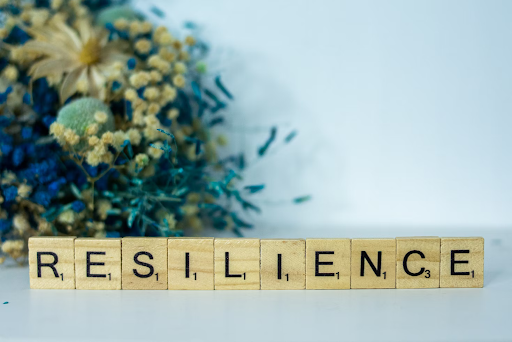 What Does Resilience Mean? | The Word Counter